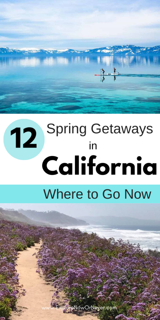 California in April: 12 Places to Celebrate Spring - Explore Now Or Never