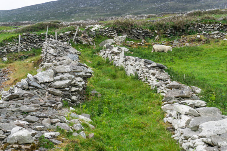 14 Incredible Things to Do in Dingle - Explore Now Or Never