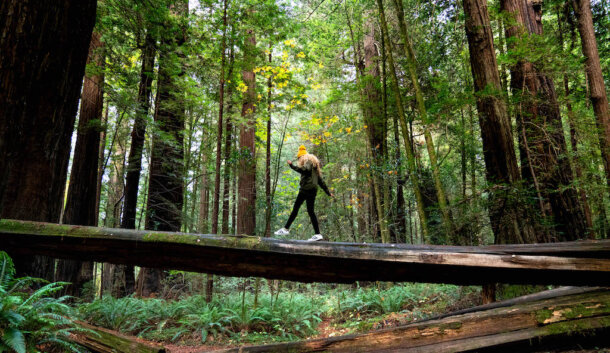 California in October: 15 Beautiful Places to Go - Explore Now Or Never