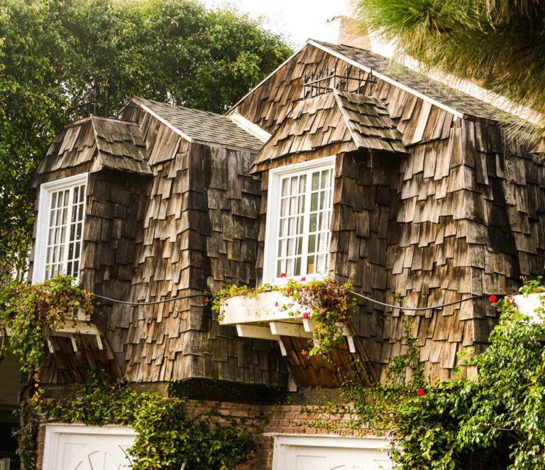 21 Things to Do in Encinitas: A Local's Best Tips (2024) - Explore Now ...