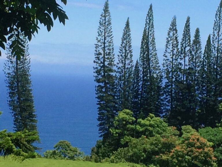 The Ultimate 2021 Maui Itinerary: How to Spend 3, 5, or 7 Days in Maui ...