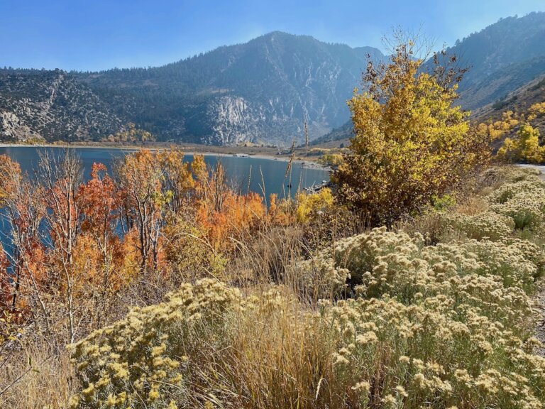 Fall Colors in California: 10 Spectacular Places to See - Explore Now ...