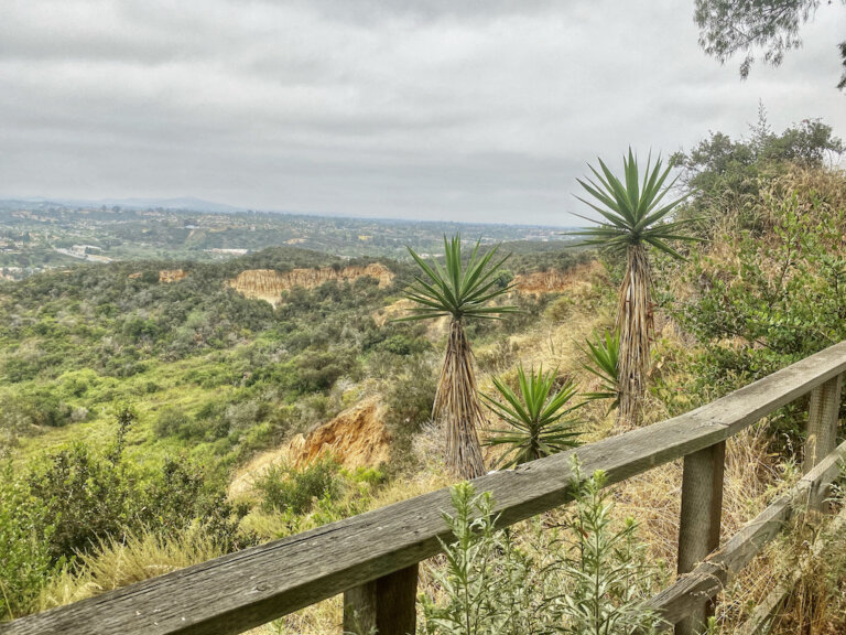 21 Things to Do in Encinitas: A Local's Best Tips (2024) - Explore Now ...