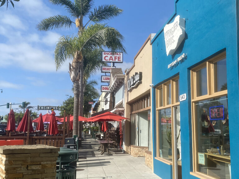 21 Things to Do in Encinitas: A Local's Best Tips (2024) - Explore Now ...