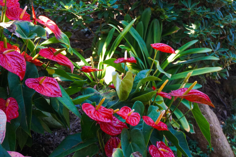 21 Things to Do in Encinitas: A Local's Best Tips (2024) - Explore Now ...