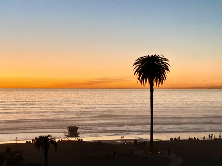 21 Things to Do in Encinitas: A Local's Best Tips (2024) - Explore Now ...