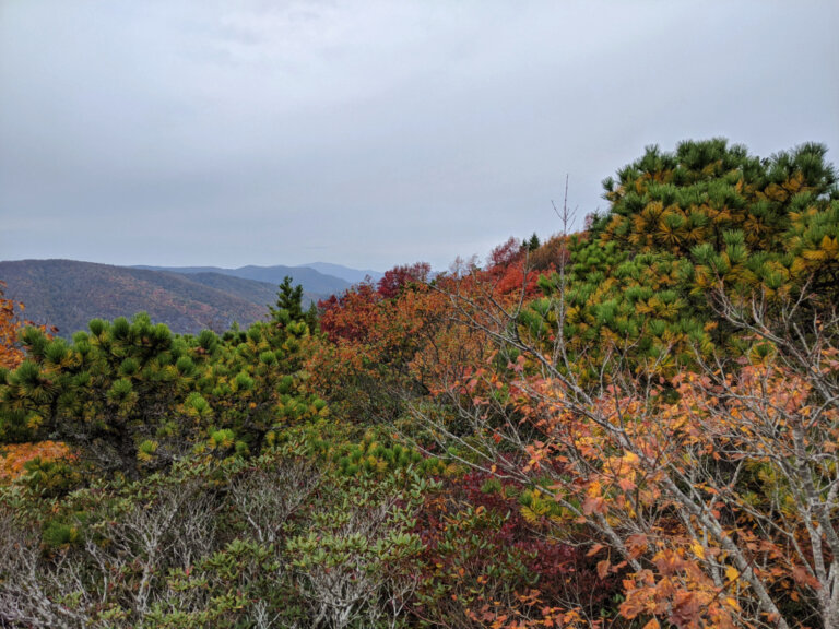 Fall in North Carolina: 12 Must-See Places for Leaf Peeping - Explore ...
