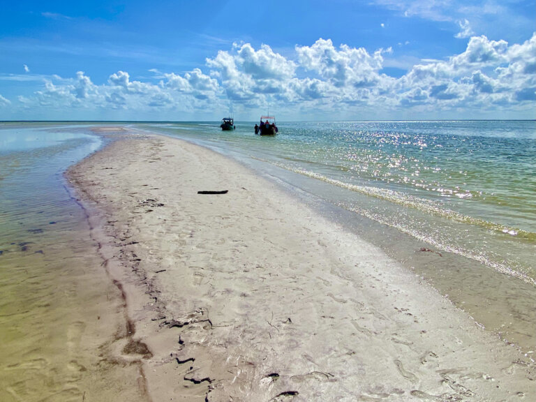 15 Best Things to Do in Holbox for an Epic Island Adventure - Explore ...