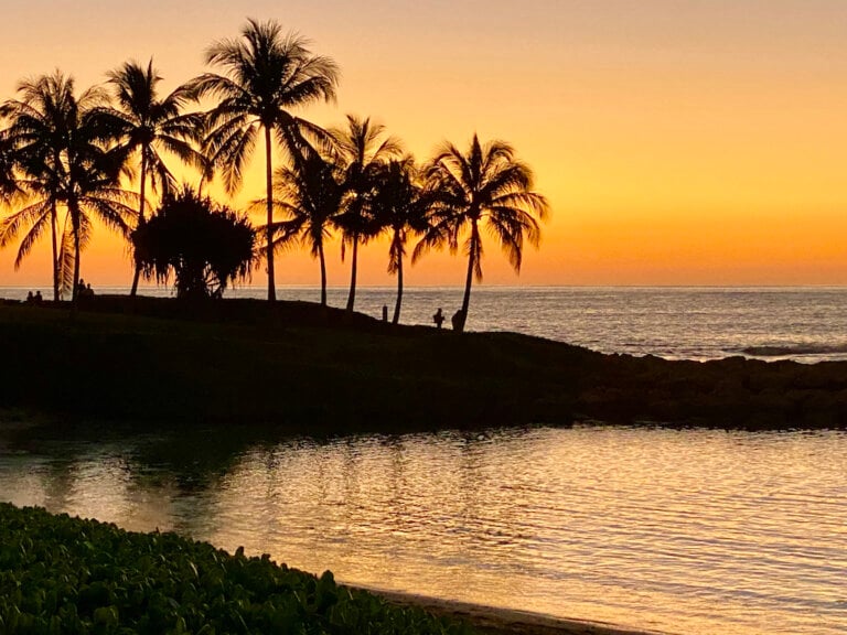 17 Warm Places To Visit In February In The USA Explore Now Or Never 17-warm-places-to-visit-in-february-in-the-usa-explore-now-or-never