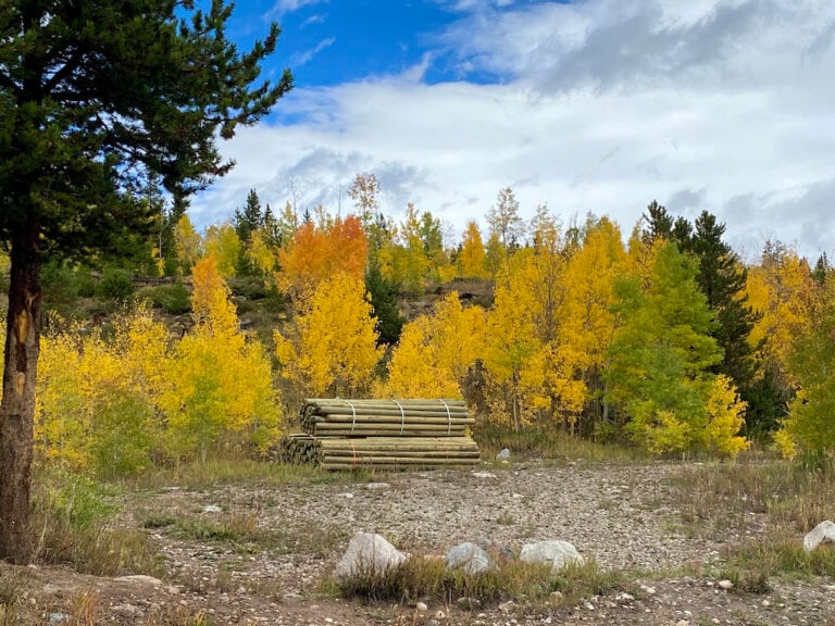 Aspen Fall Color: 7 Great Places for Leaf Peeping - Explore Now Or Never