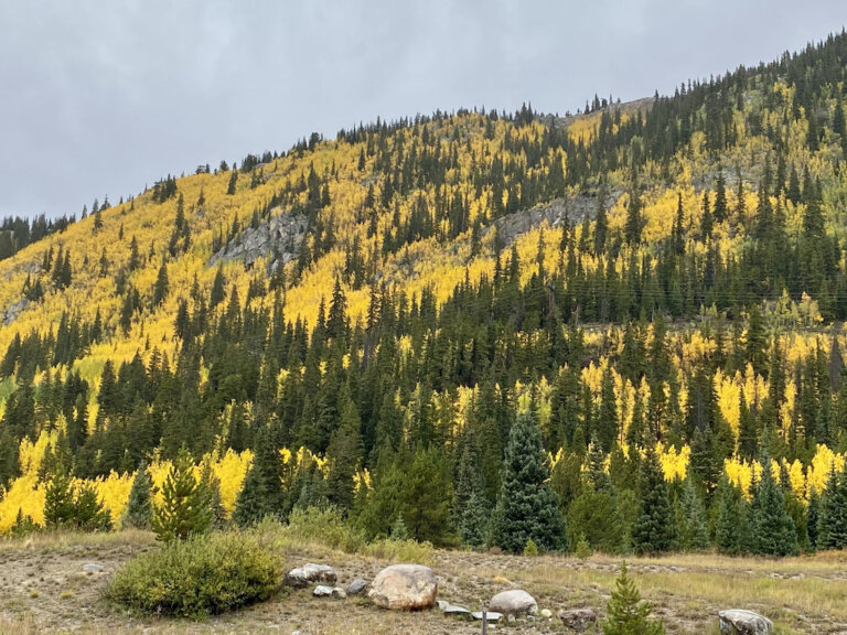 Aspen Fall Color: 7 Great Places for Leaf Peeping - Explore Now Or Never