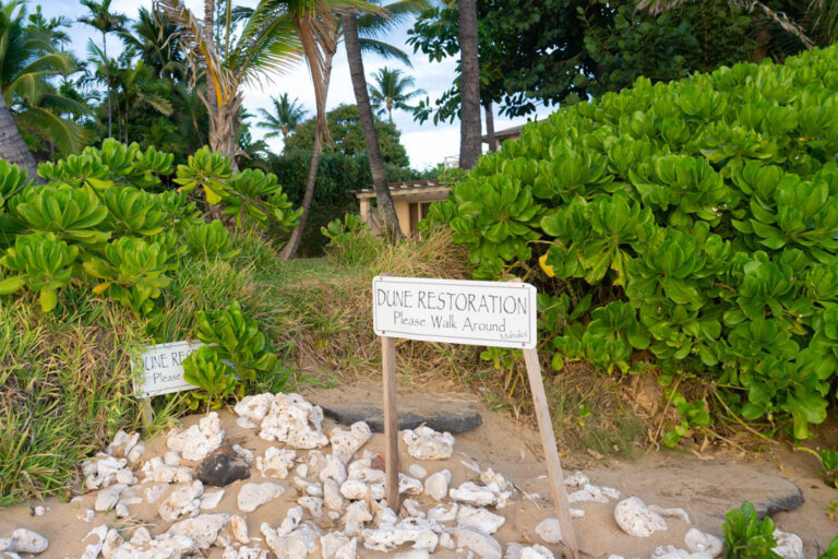 24 Amazing Things to Do in Maui - Explore Now Or Never