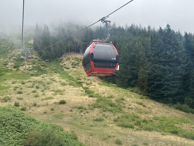 The PERFECT Mount Rainier Itinerary: 1 or 2 days + MAP - Explore Now Or ...